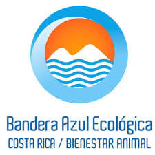 ¡Obtuvimos el Galardón de Bandera Azul en la Categoría de Bienestar ...